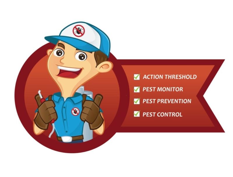 Residential Pest Control – APM Pest Management